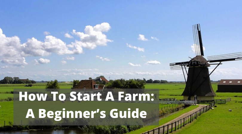 How To Start A Farm: A Beginner’s Guide | Nourish The Planet